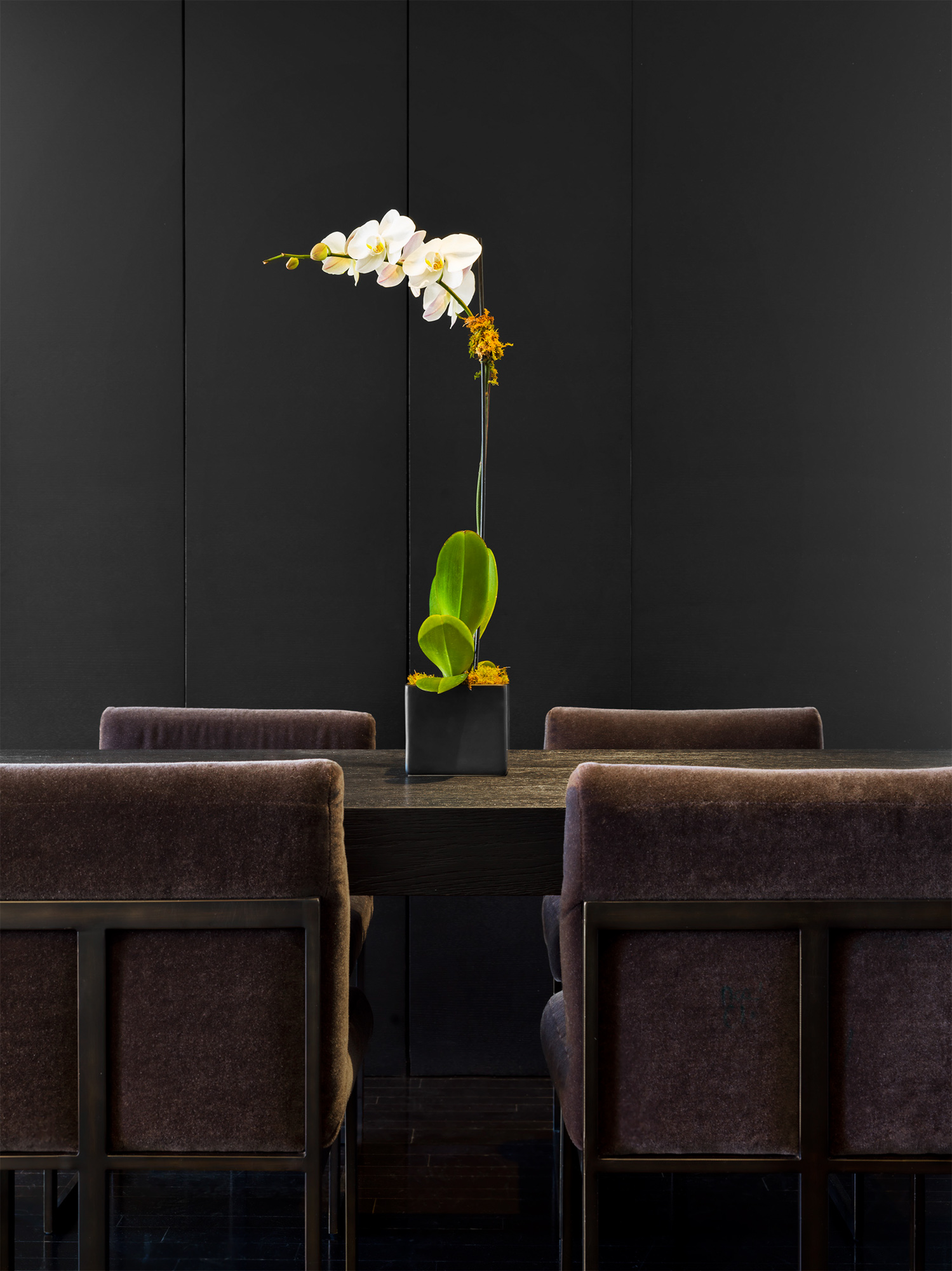 Amenities - 20 Pine Collection